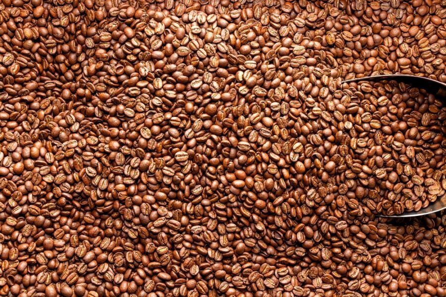 Top Quality Fernelo Dark Roast Coffee from Kesh Kesh Coffee Roastery